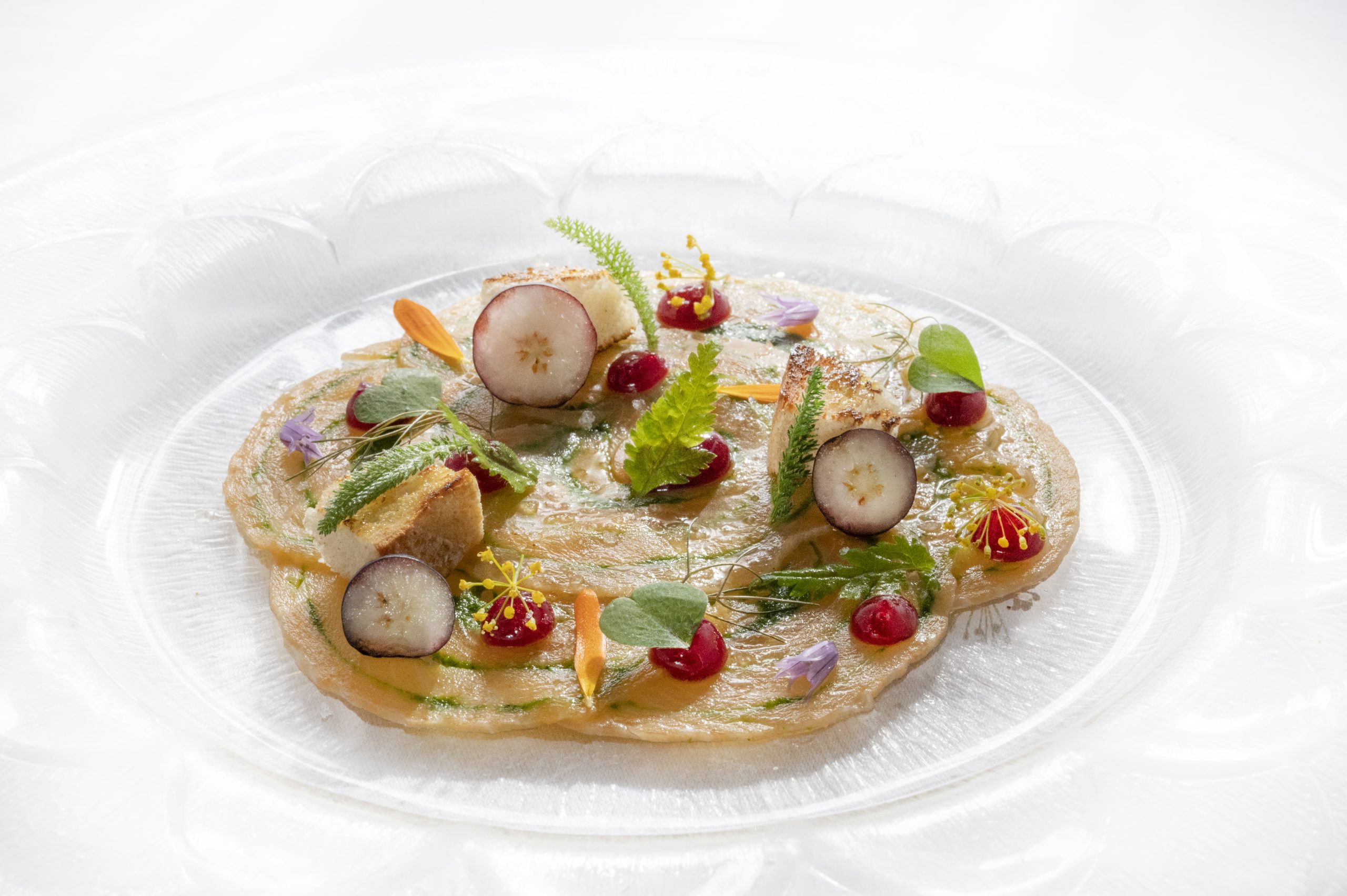 Nico Alfa Soleil - The Headwater Moments Travel Blog