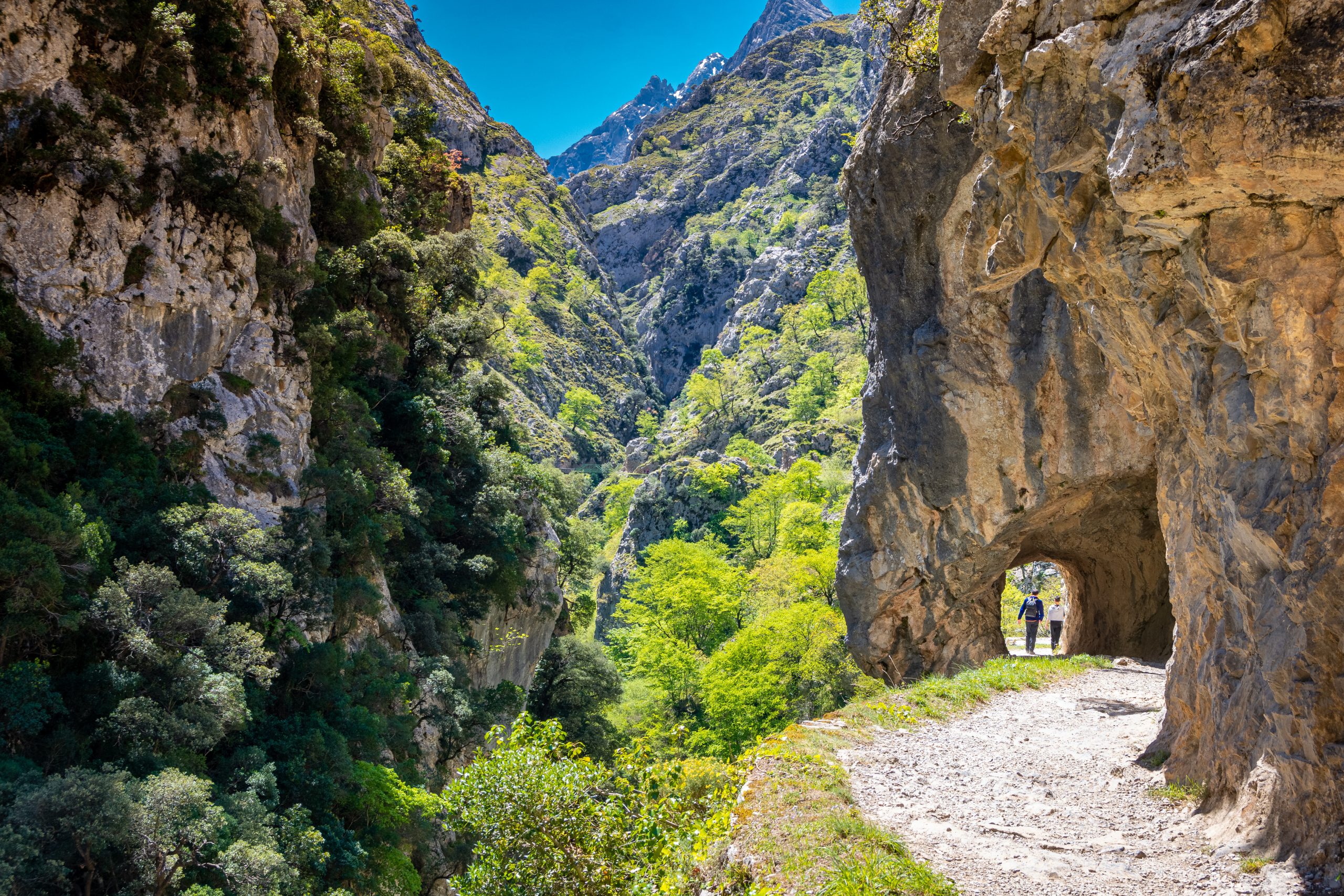 Landscape,Of,The,Famous,Cares,Route,From,Asturias,To,Leon - The ...